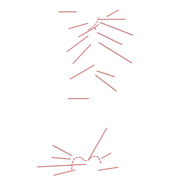 Femur Labeling Quiz